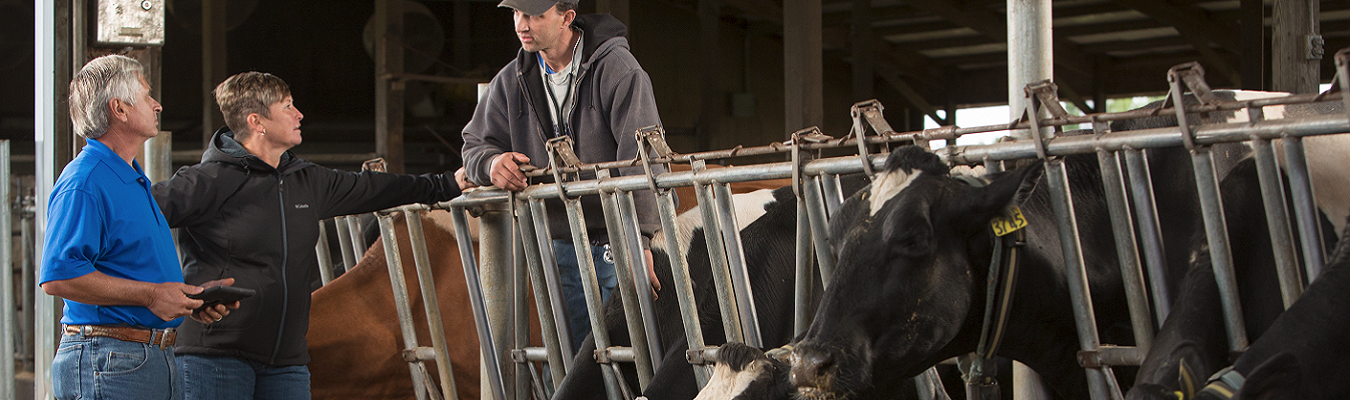 prime learn more introducing provia prime why we do what we do learn ...