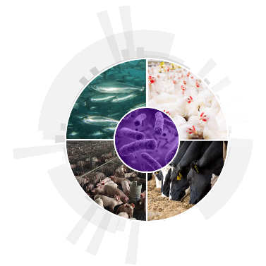 SOLUTIONS FOR YOUR OPERATION