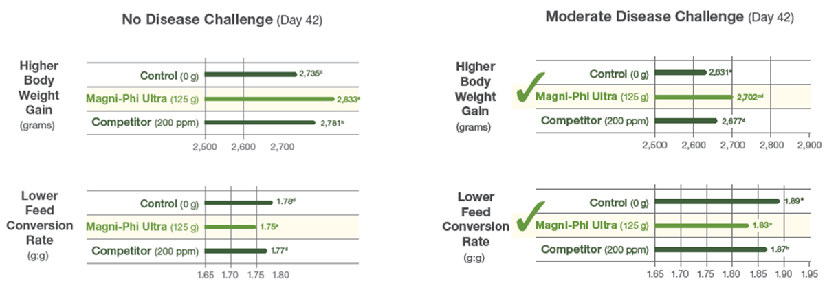Product Overview: Magni-Phi Ultra - PAHC