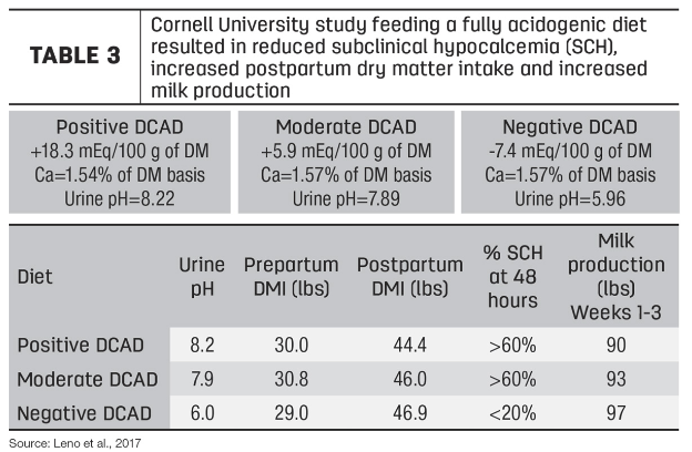 In the study at Cornell University, feeding a fully acidogenic diet ...